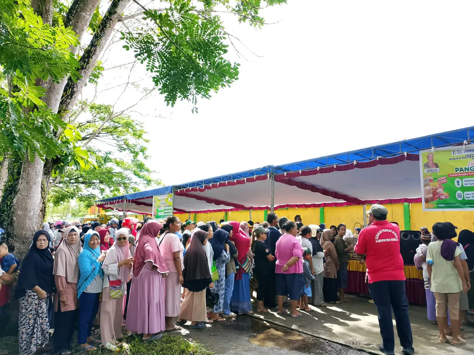 Pertanian Organik di Mimika: Langkah Awal Menuju Kemandirian Pangan ...