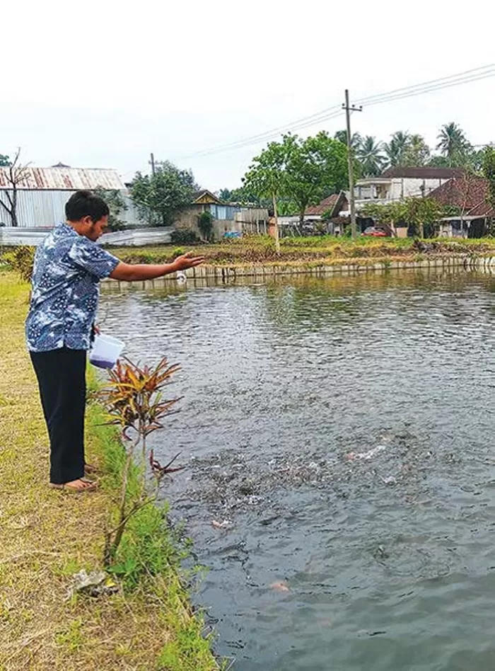 BUMDes Pandanajeng Sukses Kelola Usaha Perikanan – Desa Nusantara