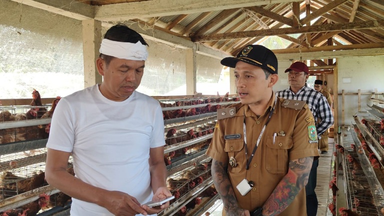 Dana Desa Rp308 Juta untuk Ayam: Gaya Unik Kades Bertato Hoho Alkaf ...