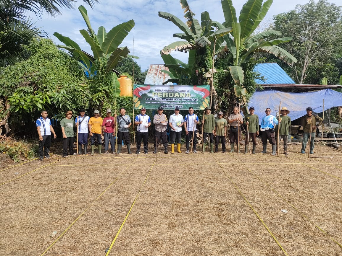 Tanam Jagung, Bangun Ketahanan Pangan Desa – Desa Nusantara