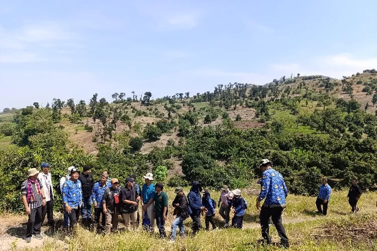 Temuan Purbakala Bermunculan di Desa Wilayah Margorejo – Desa Nusantara