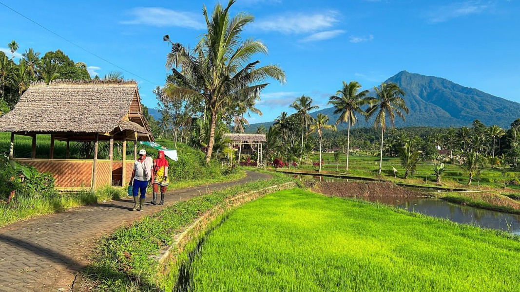 Desa Wisata di Langkat Berkembang Cepat, Warga Jadi Motor Penggerak ...