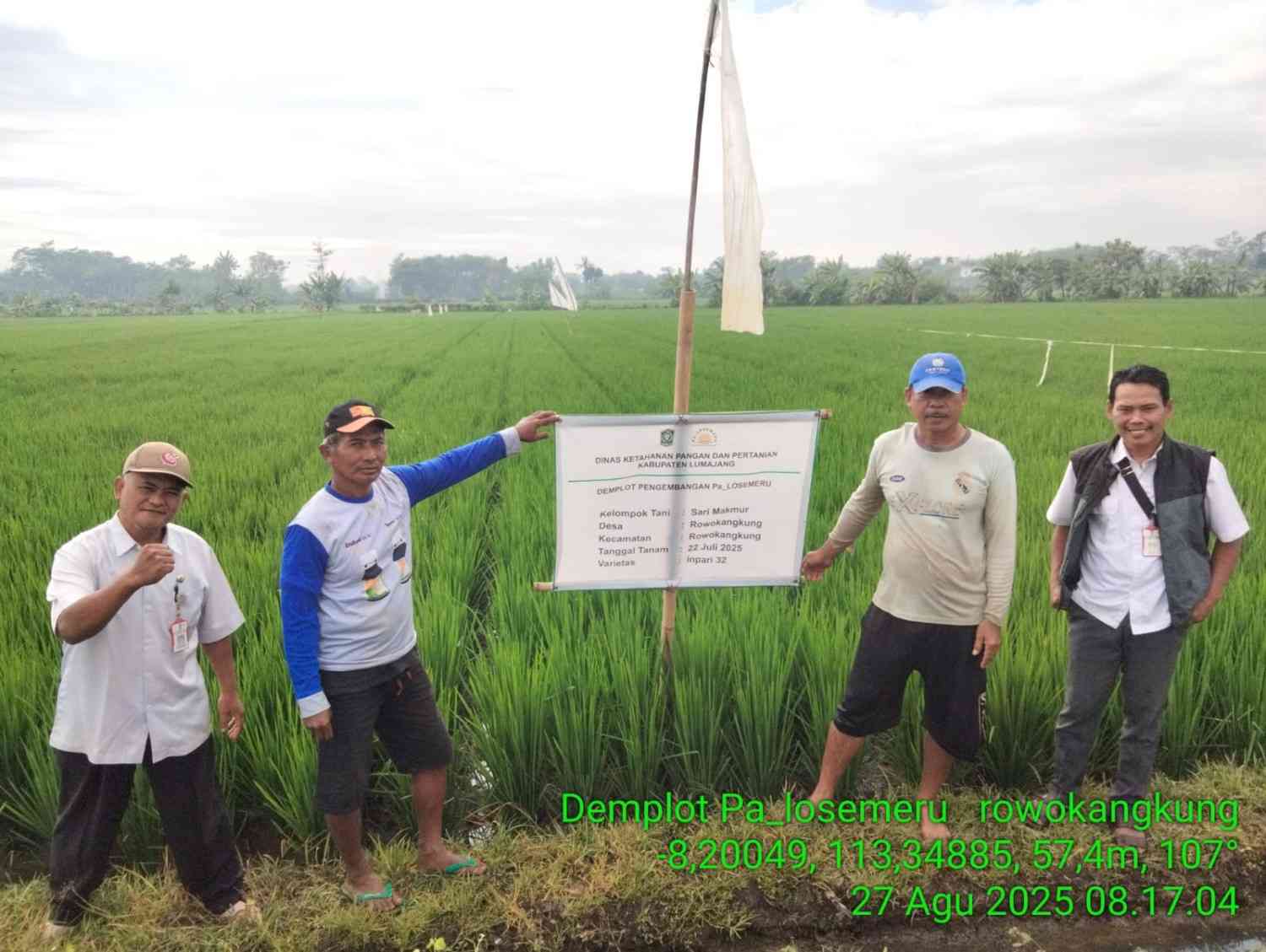 Pertanian Organik Jadi Strategi Ketahanan Pangan Desa Kedungrejo – Desa Nusantara