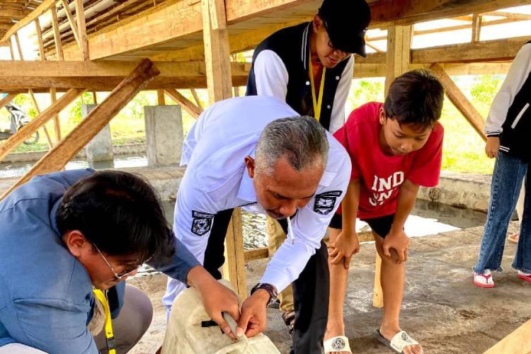 KKN Unitomo dan BUMDes Jatiurip Kembangkan Budidaya Lele dan Pertanian ...