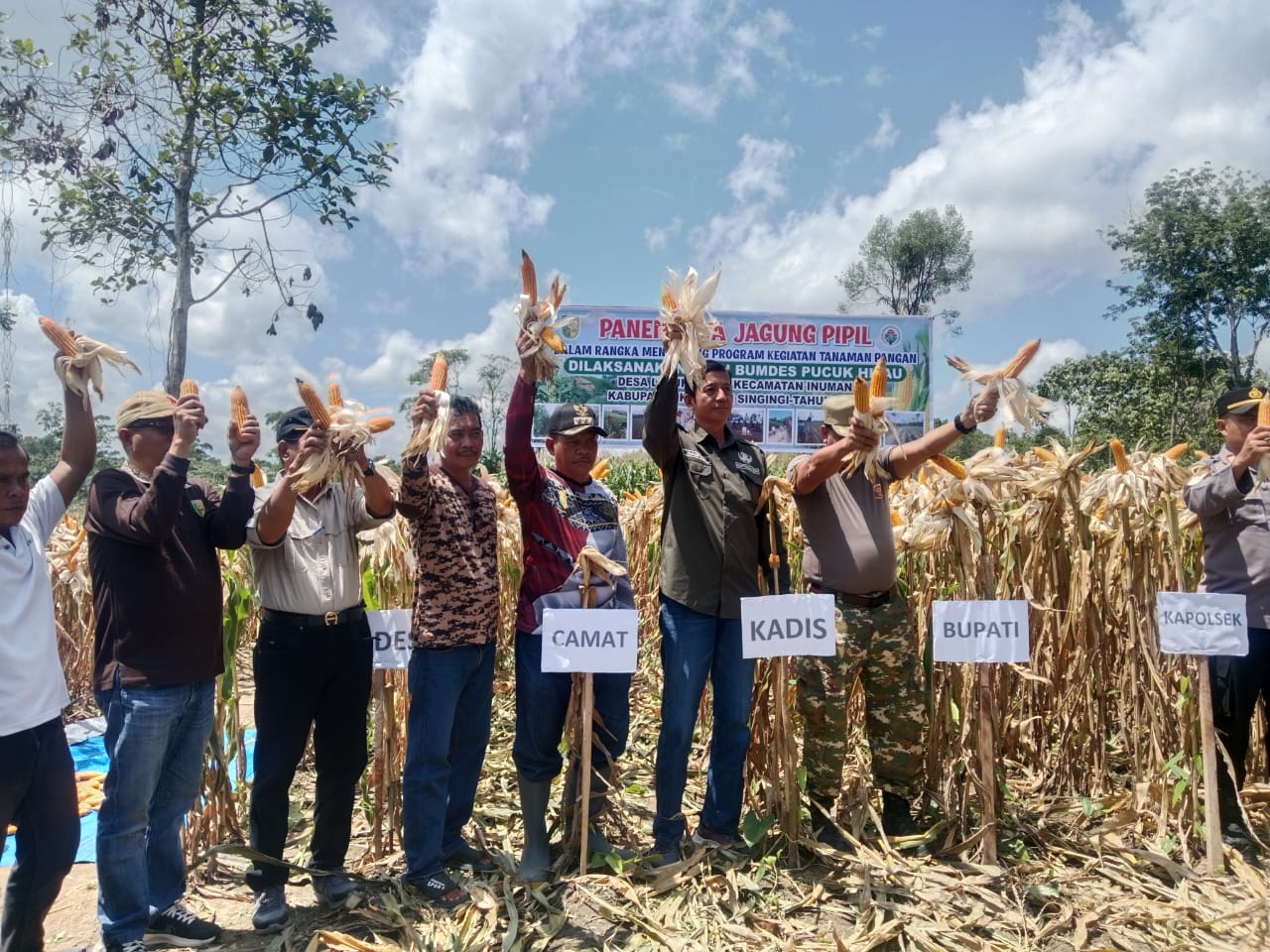 Desa Lebuh Lurus Jadi Simbol Ketahanan Pangan Kuansing – Desa Nusantara