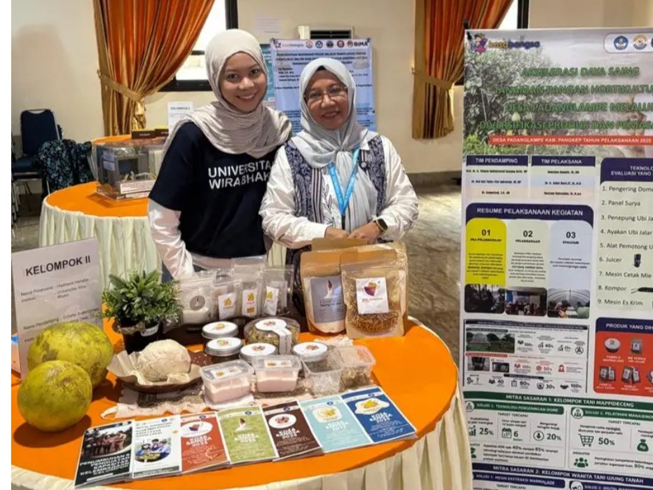Jeruk Pamelo dan Ubi Jalar Jadi Mesin Ekonomi Baru Warga Desa – Desa ...